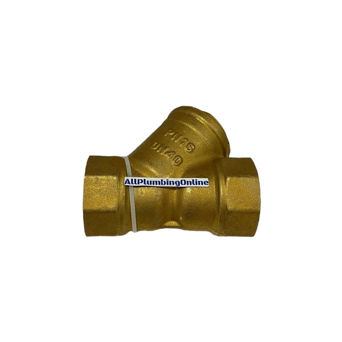 AW YS40 General Purpose Y Strainer 40mm – All Plumbing Online